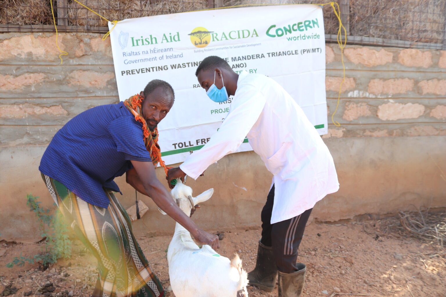 Over 65,000 Vaccinated and 38,000 Dewormed: Enhancing Livestock Health ...