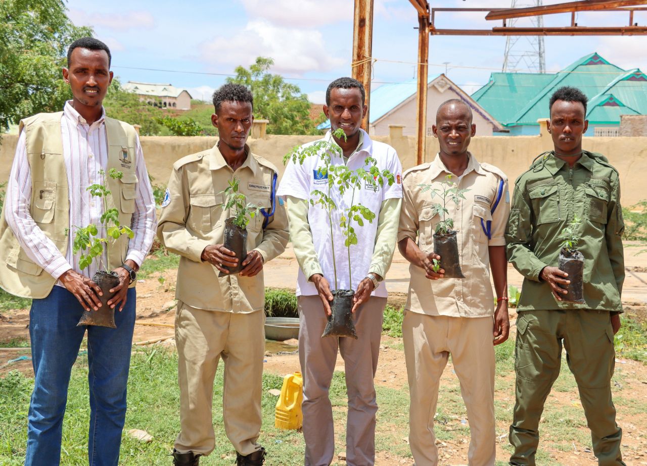 BORESHA-NABAD officially kicks off its tree-planting campaign in ...