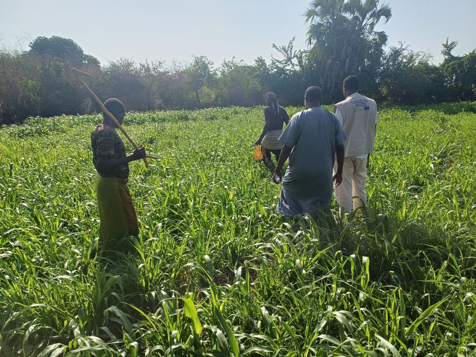 Mandera Farmers Reclaim Degraded Lands Through Climate-Resilient ...
