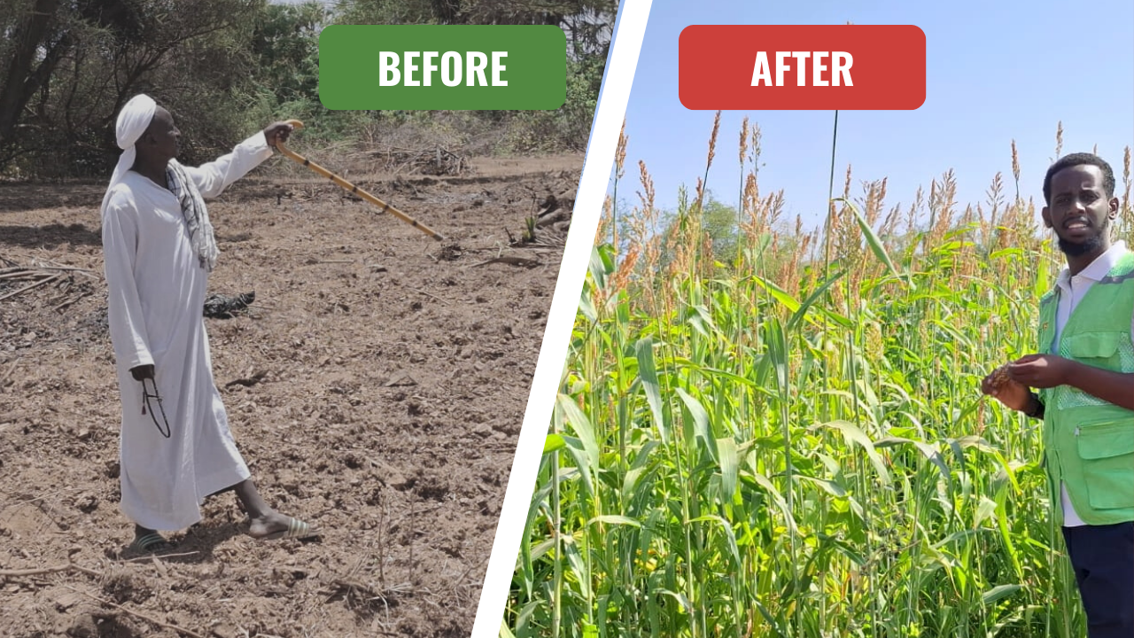 Mandera Farmers Reclaim Degraded Lands Through Climate-Resilient ...