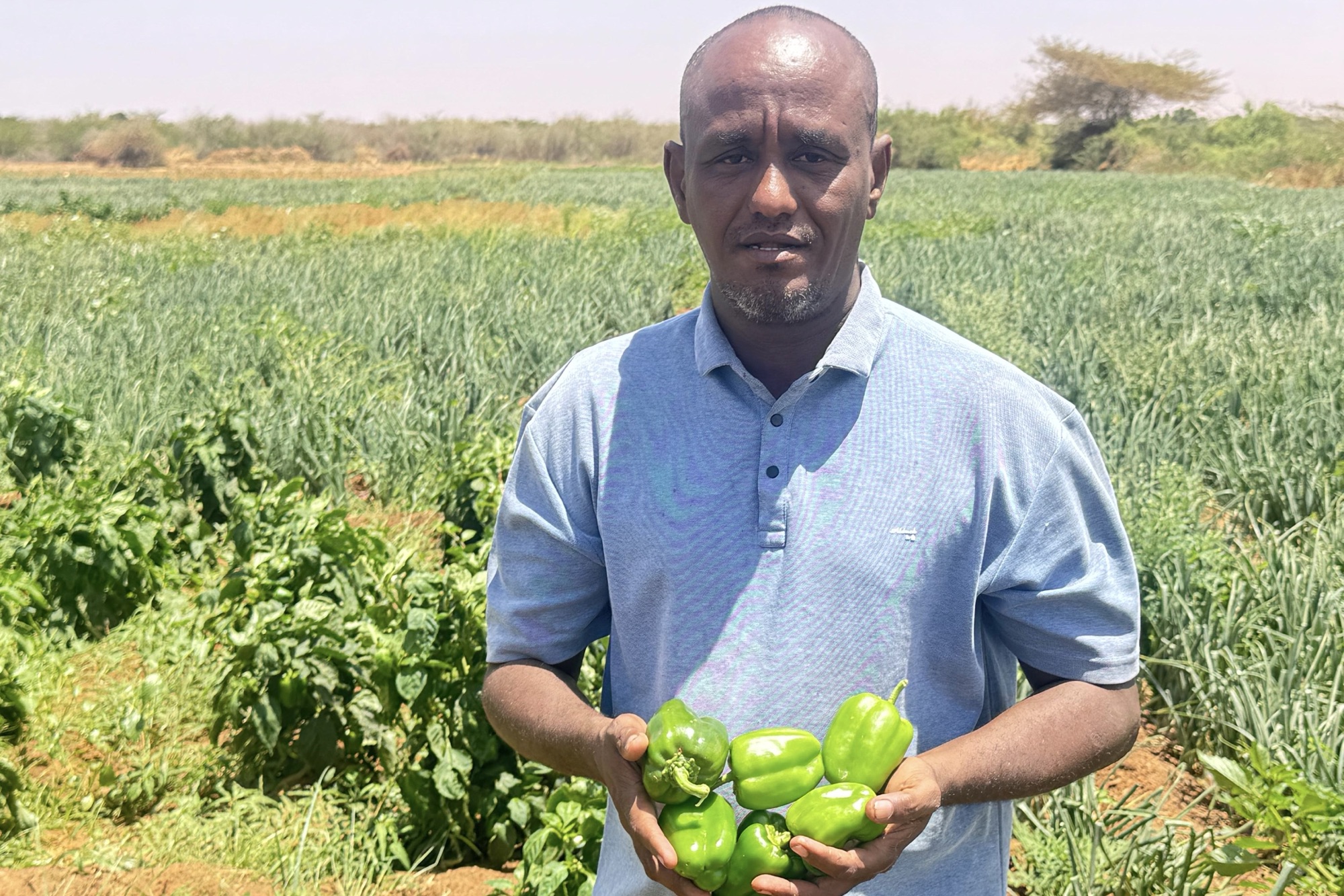 Cultivating Resilience: Why RACIDA is Nominated again for Best in ...